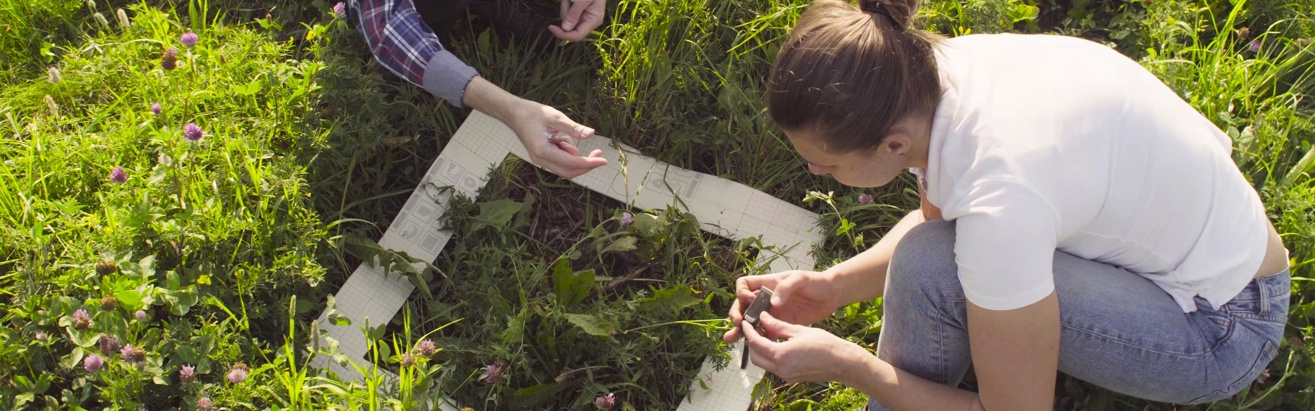 Terrestrial Ecology | OHES