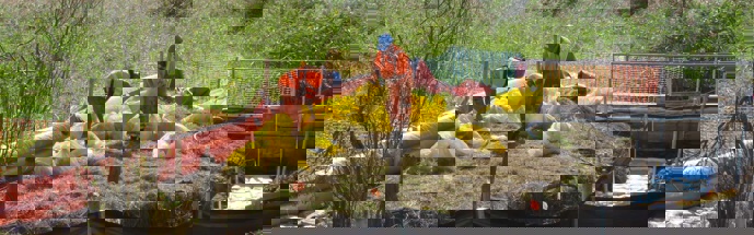 Environmental Insurance Claims Management | OHES